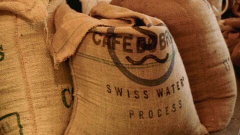 Decaffeinating Coffee Beans: An Inside Look At The Process - The Golden ...